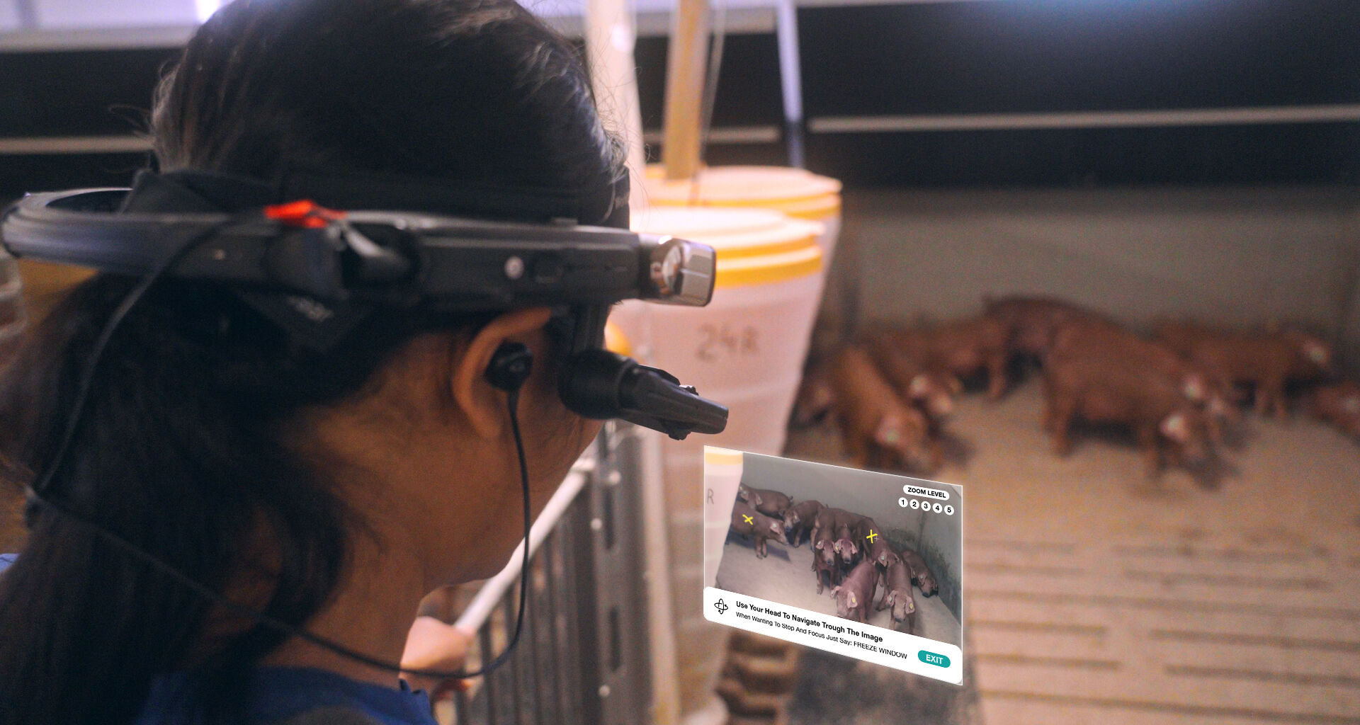 Biotechnology firm DanBred breeds success with RealWear assisted ...